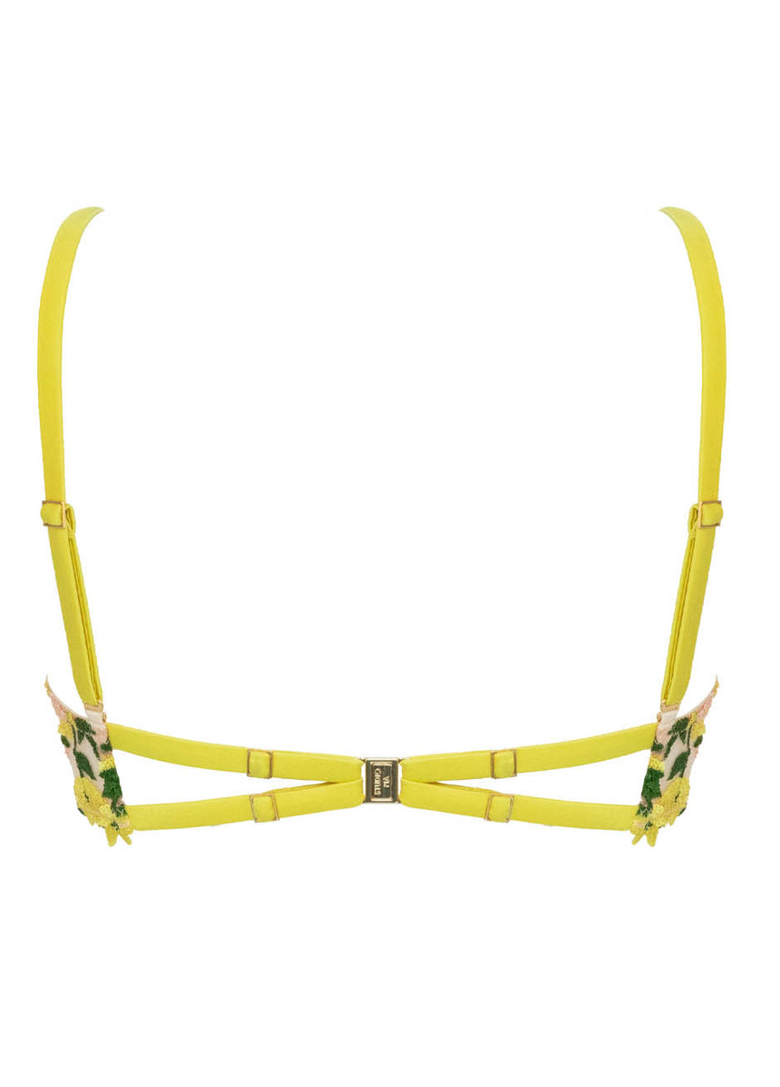chartreuse bra